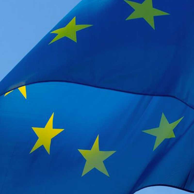 LBL International Construction